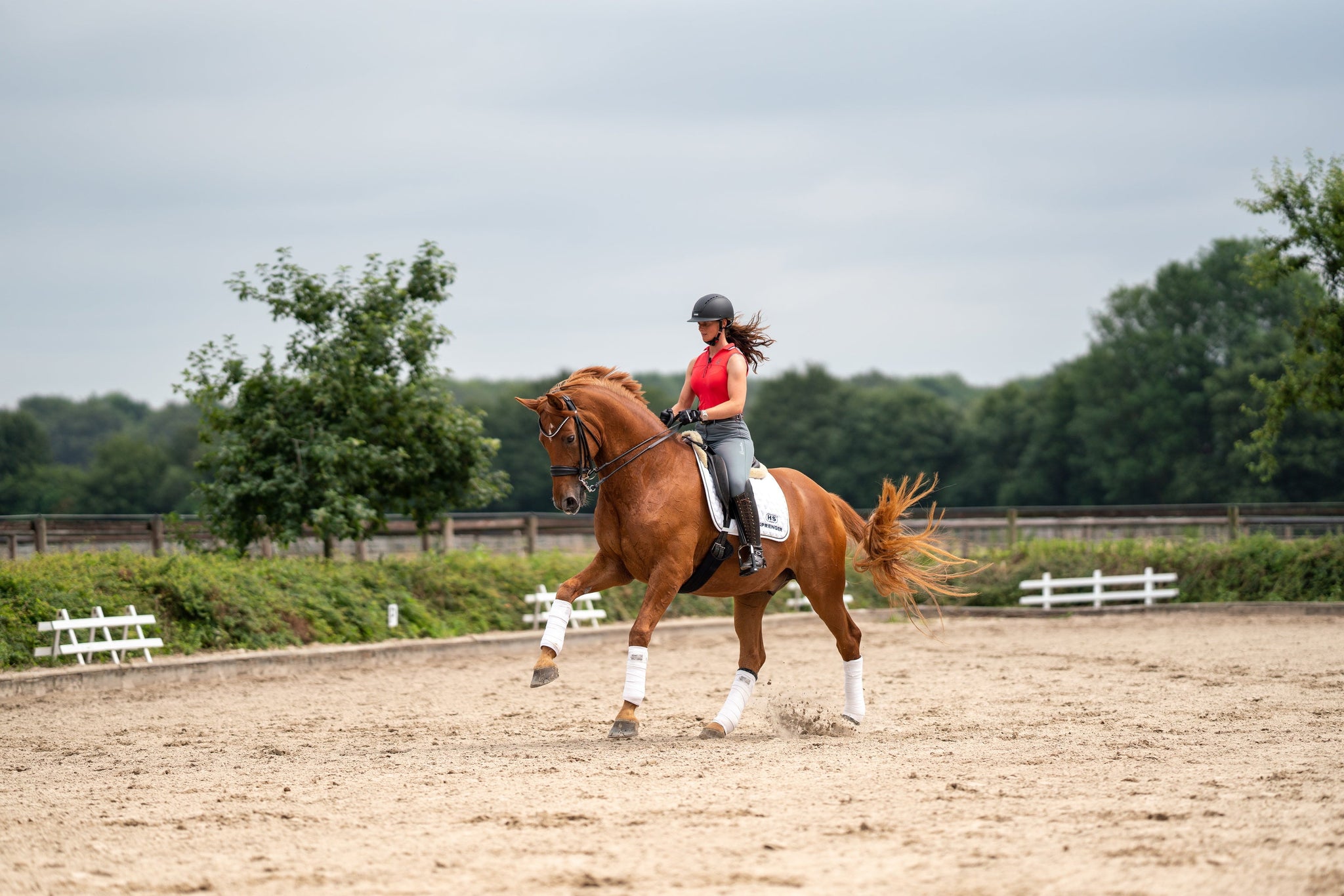 Dressur mit SPRENGER-Reiterin Jessica Süss | SPRENGER Pferd