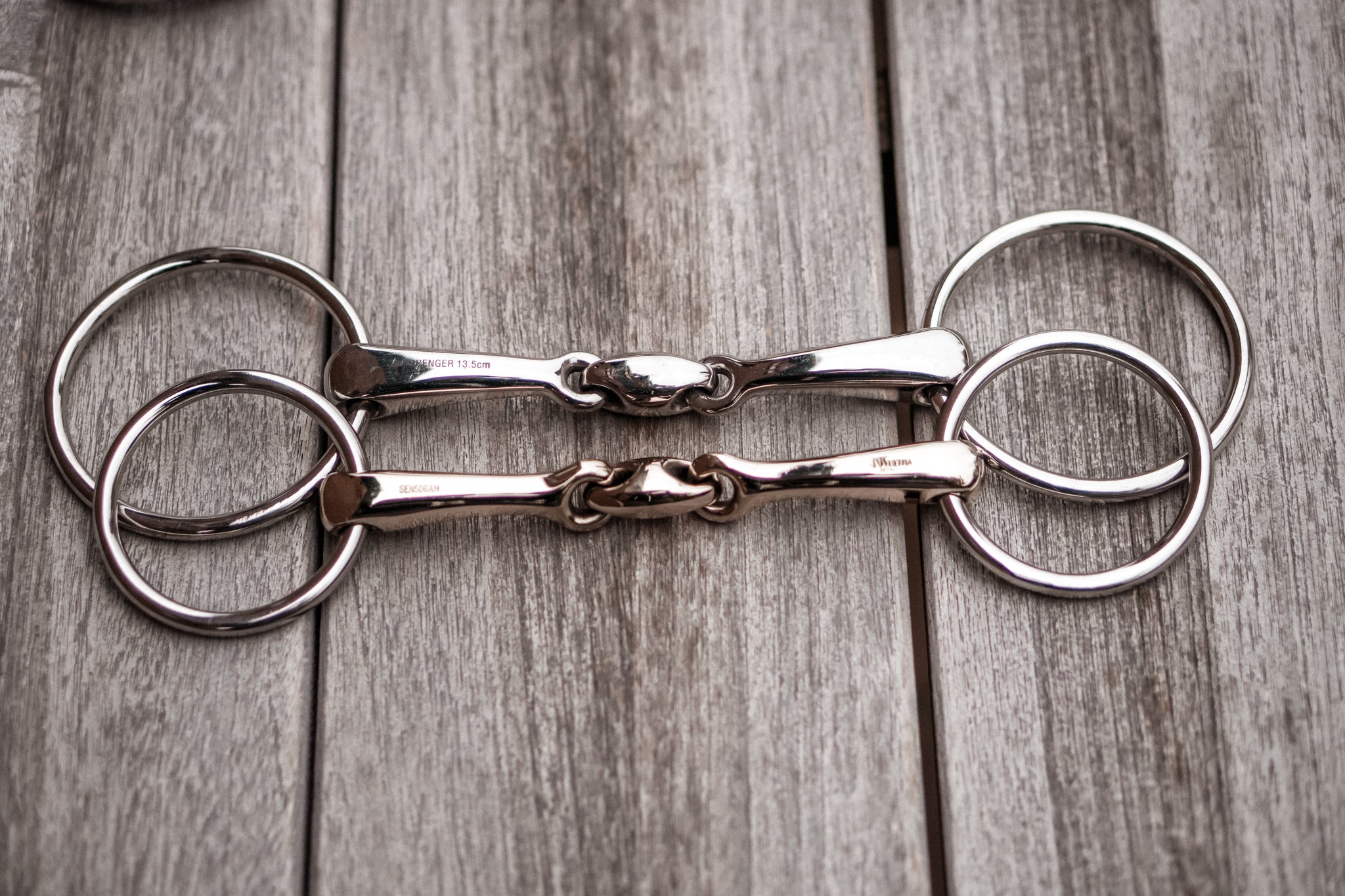 Welches Gebiss zum Anreiten | SPRENGER Pferd