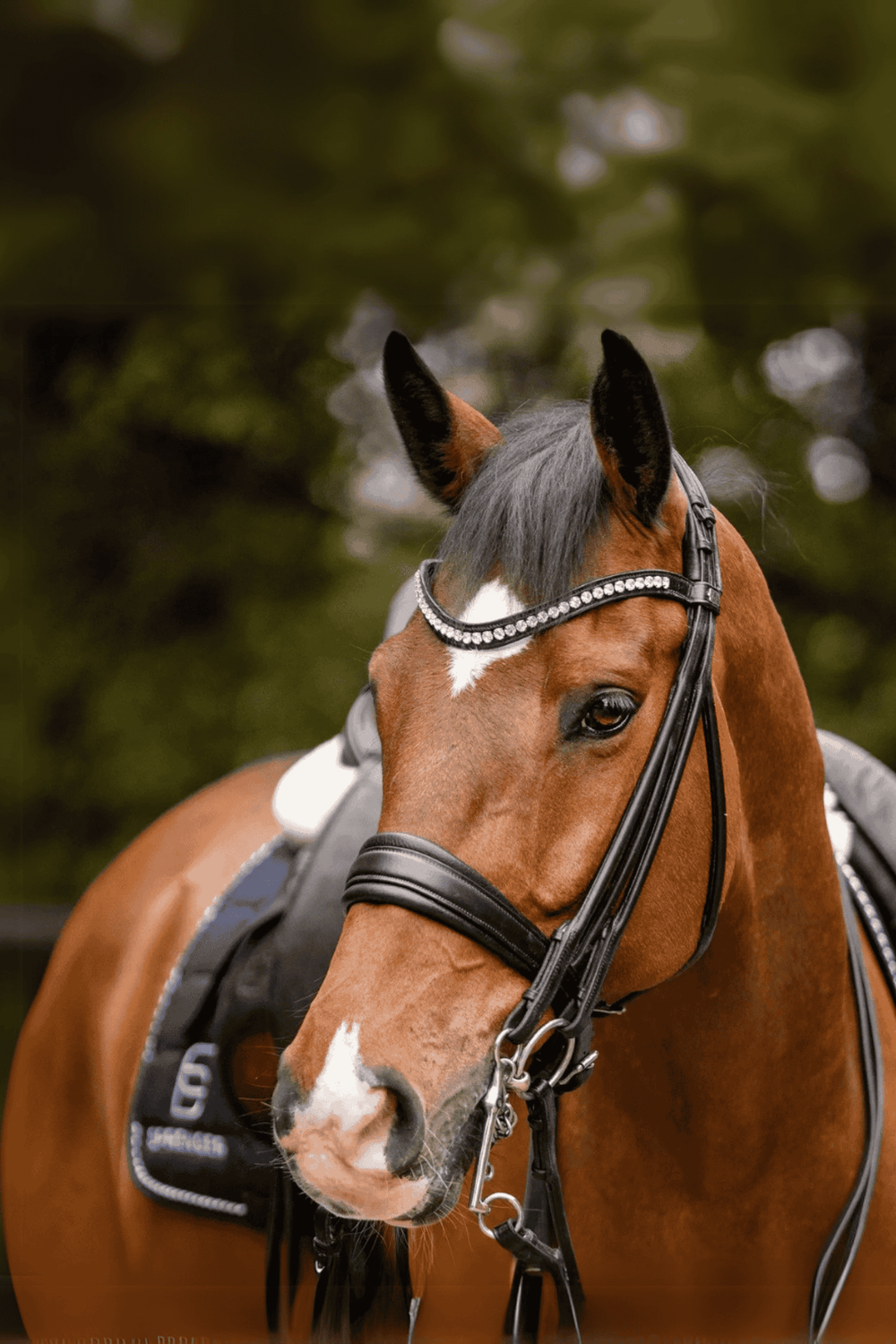 Herm. Sprenger | Tradition, quality & innovation since 1872