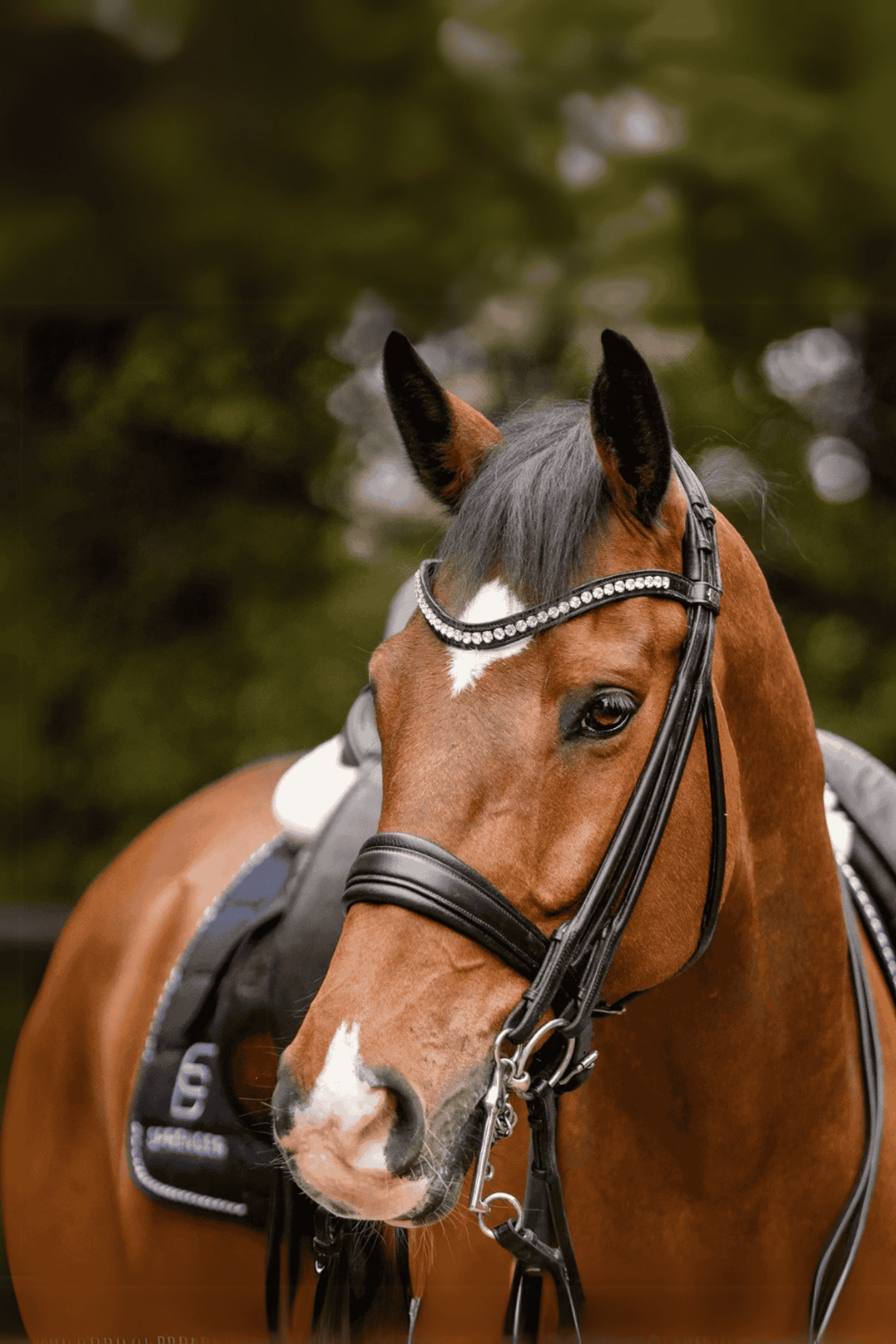 Herm. Sprenger | Tradition, quality & innovation since 1872