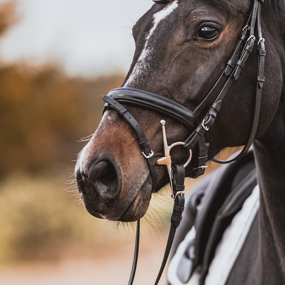 TURNADO Schenkeltrense 16 mm - Edelstahl rostfrei | Sprenger.de